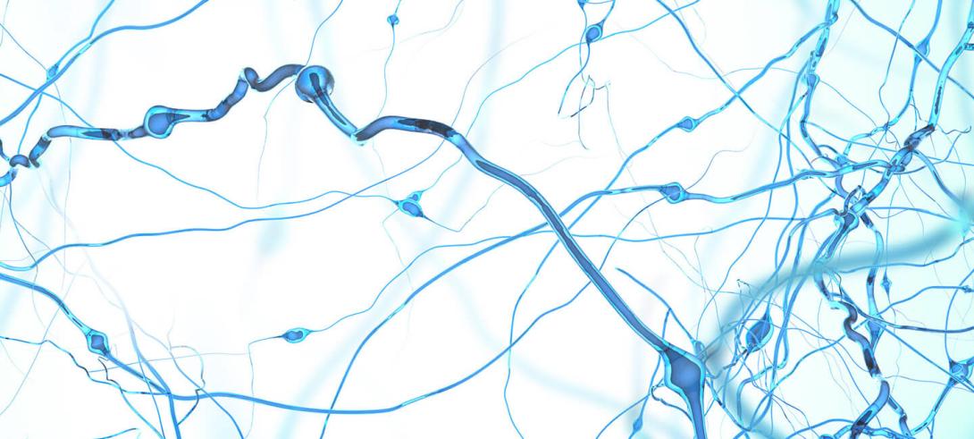 Researchers Trace How Ketamine Acts on Specific Brain Circuits and Synapses to Relieve Anhedonia ...